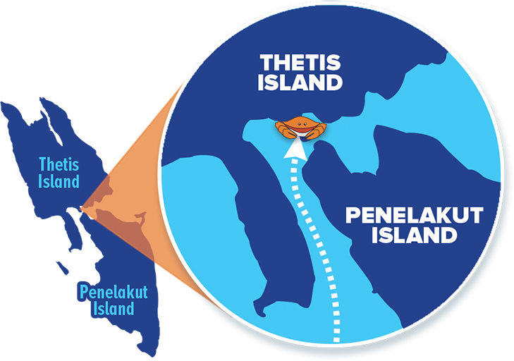 Marina — Telegraph Harbour Marina