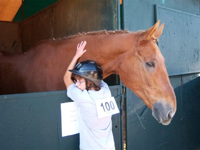 Student Qualifications - The Back Bay Therapeutic Riding Club — Back ...