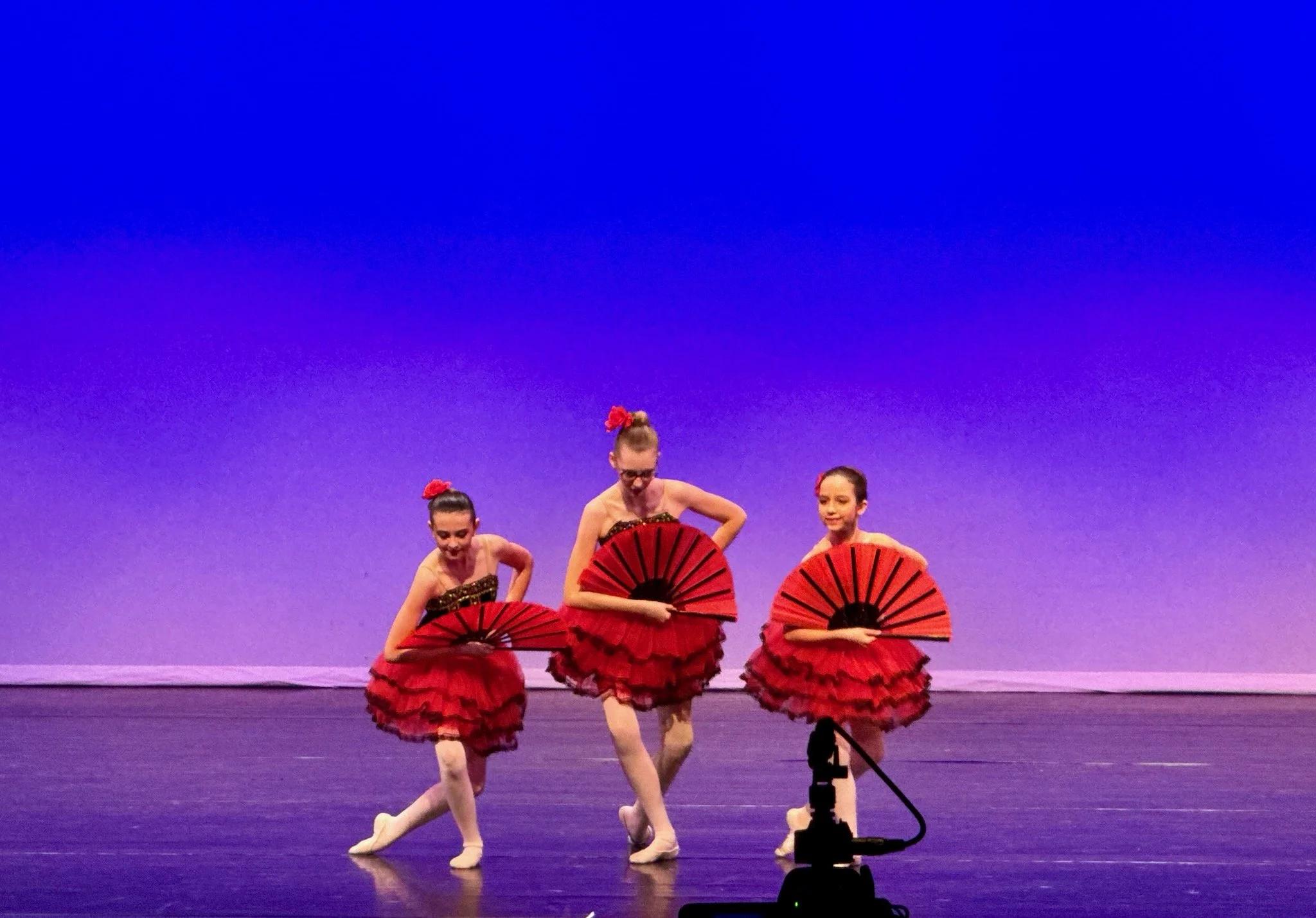 LINK SCHOOL OF THE ARTS