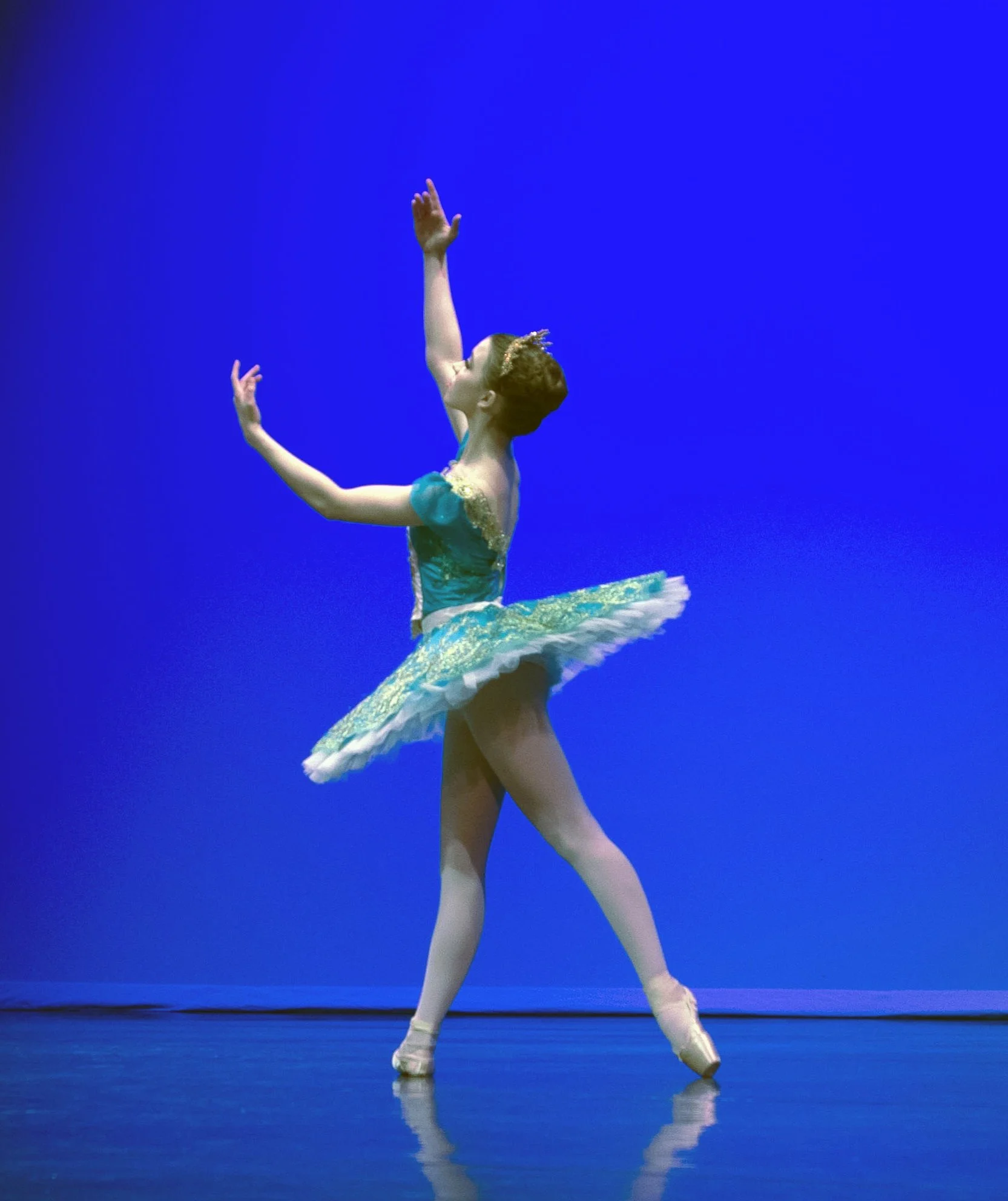 LINK SCHOOL OF THE ARTS