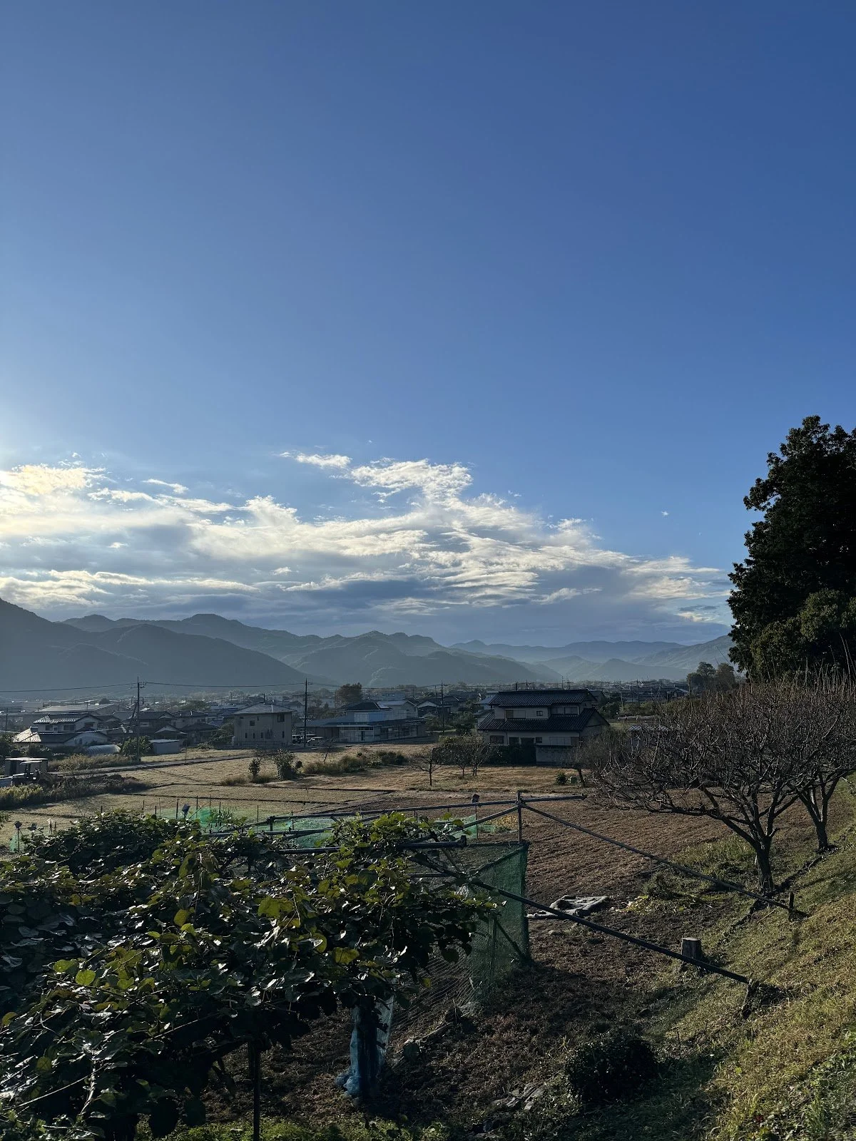 事務局長からのお便りVol.10 — NPO法人PIECES（ピーシーズ）