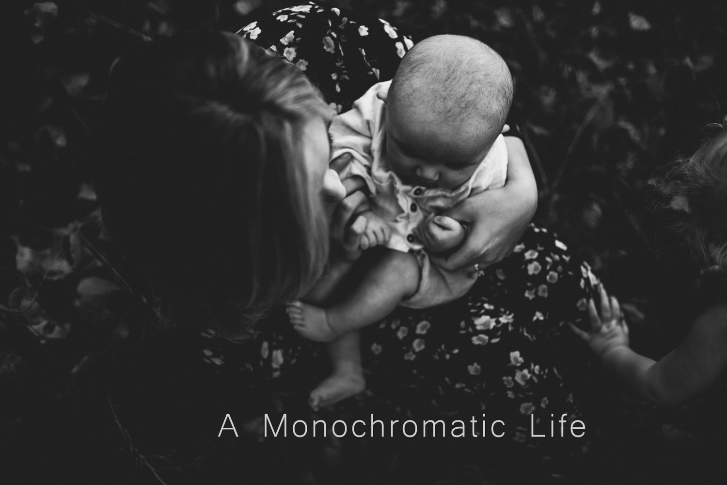 Monochromatic Photography