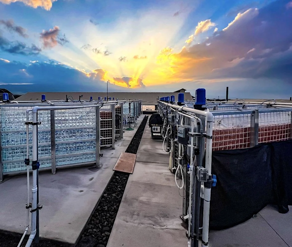 1350 L Flat Panel Reactor — PureBiomass Inc