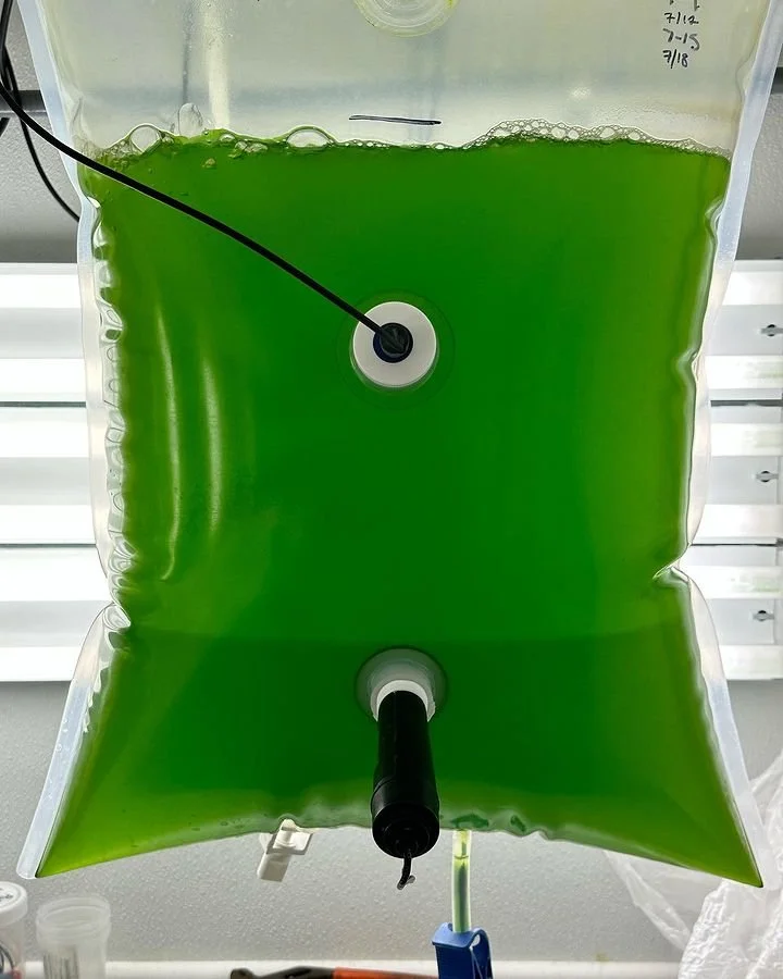 25L Bag System — PureBiomass Inc