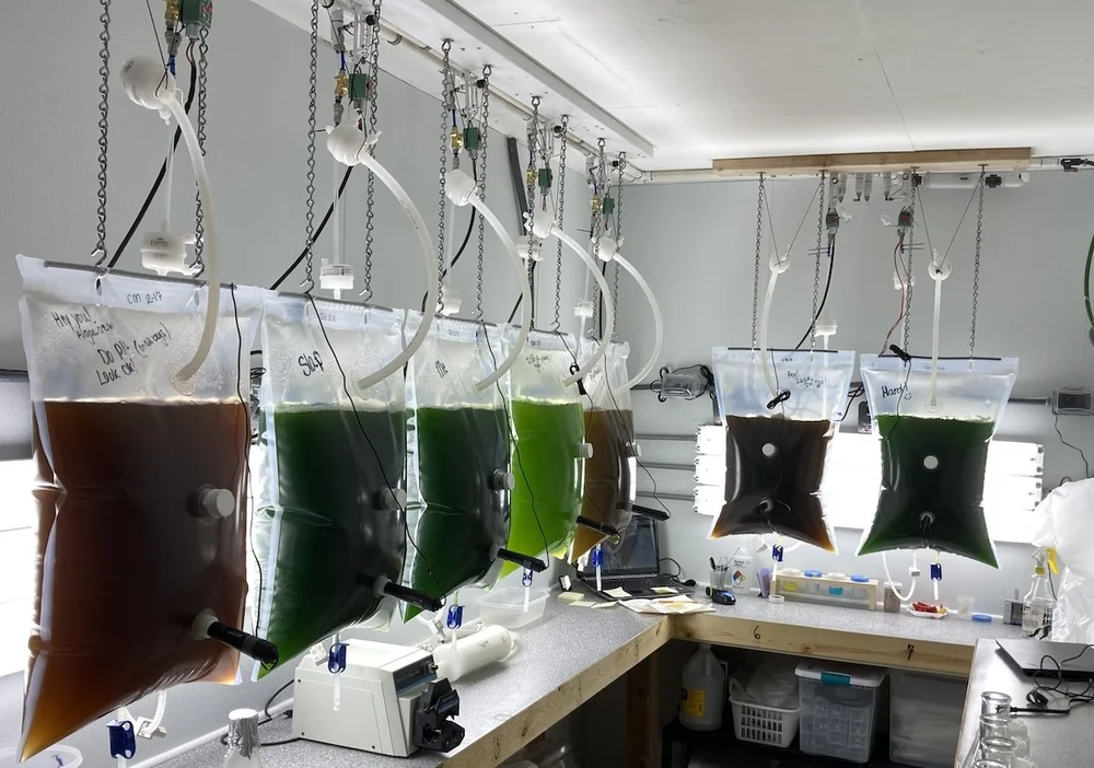 25L Bag System — PureBiomass Inc