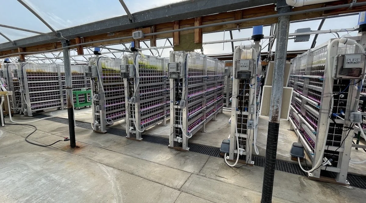 1350 L Flat Panel Reactor — PureBiomass Inc