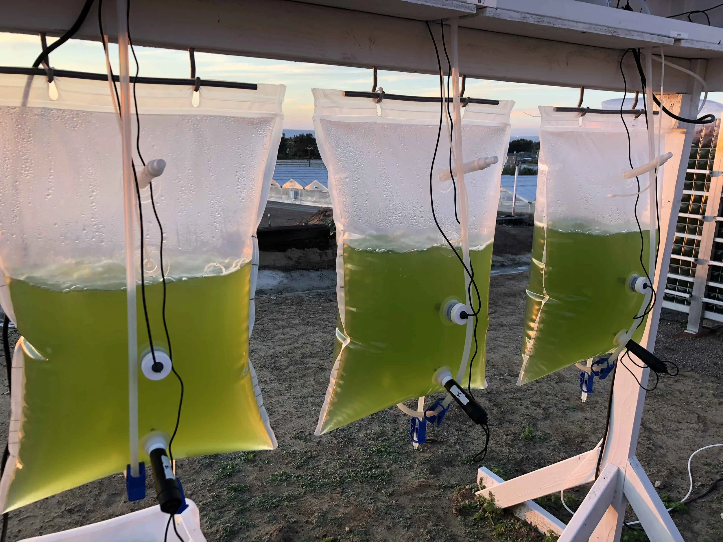 25L Bag System — PureBiomass Inc