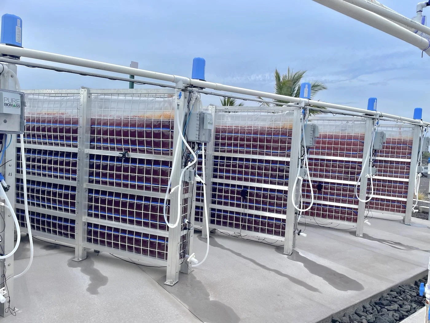1350 L Flat Panel Reactor — PureBiomass Inc