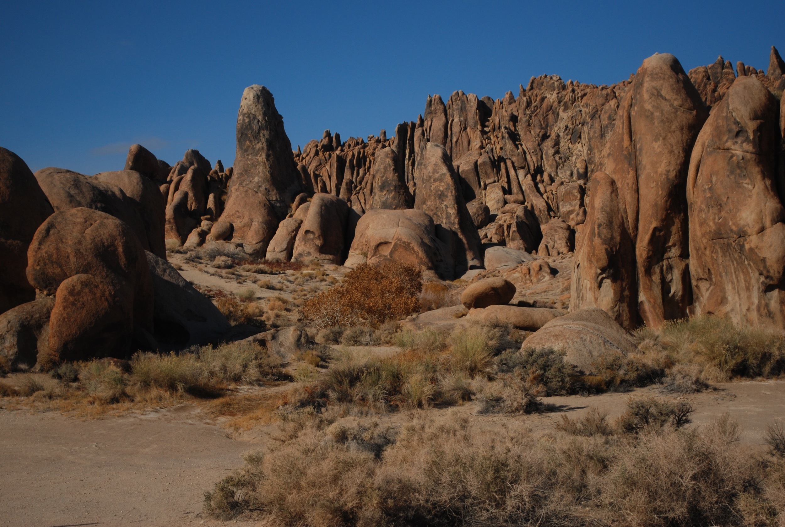 Opt to Inyo National Park — When She Roams