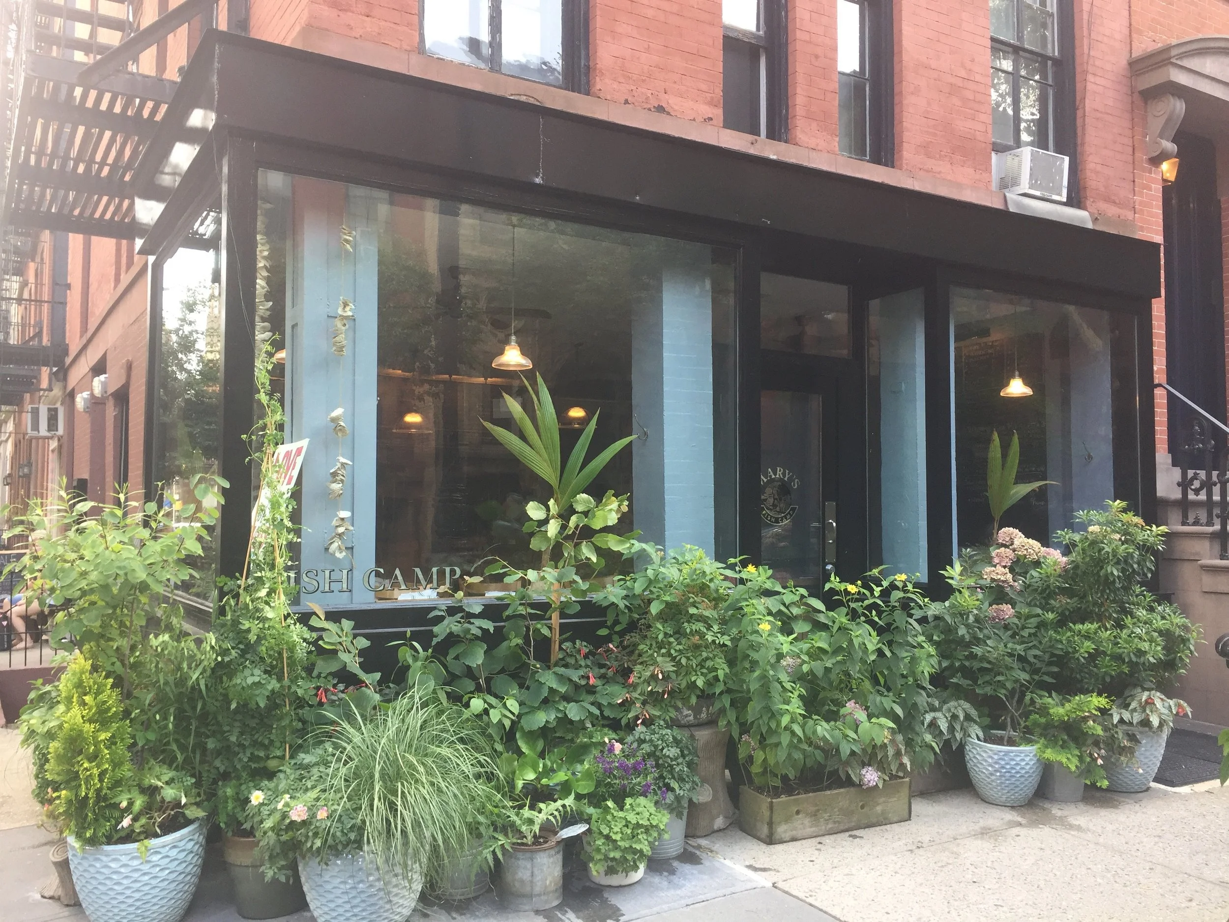 Laura Comerford Garden