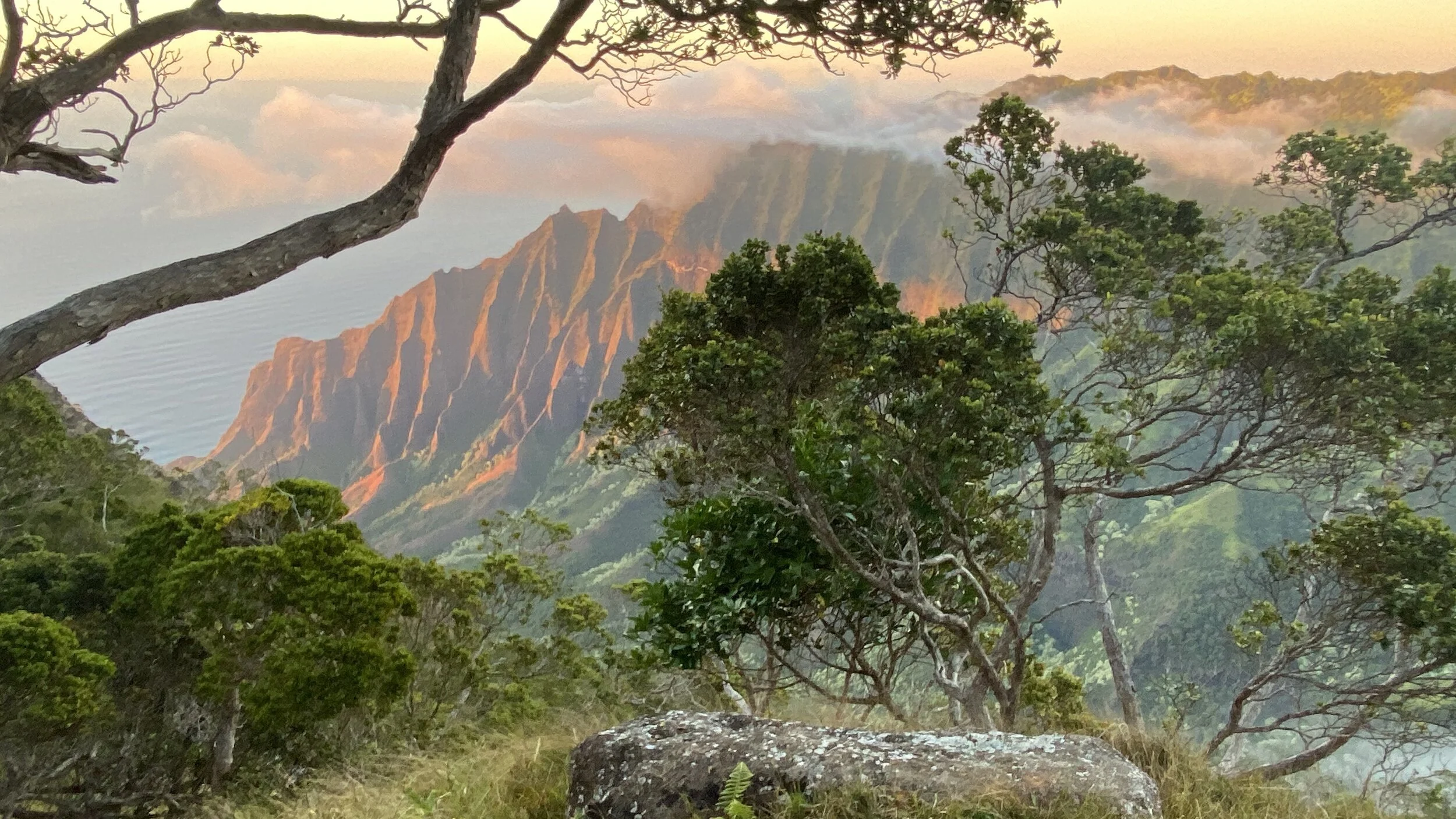 Learn Shamanism — Shamanic Spirit Medicine