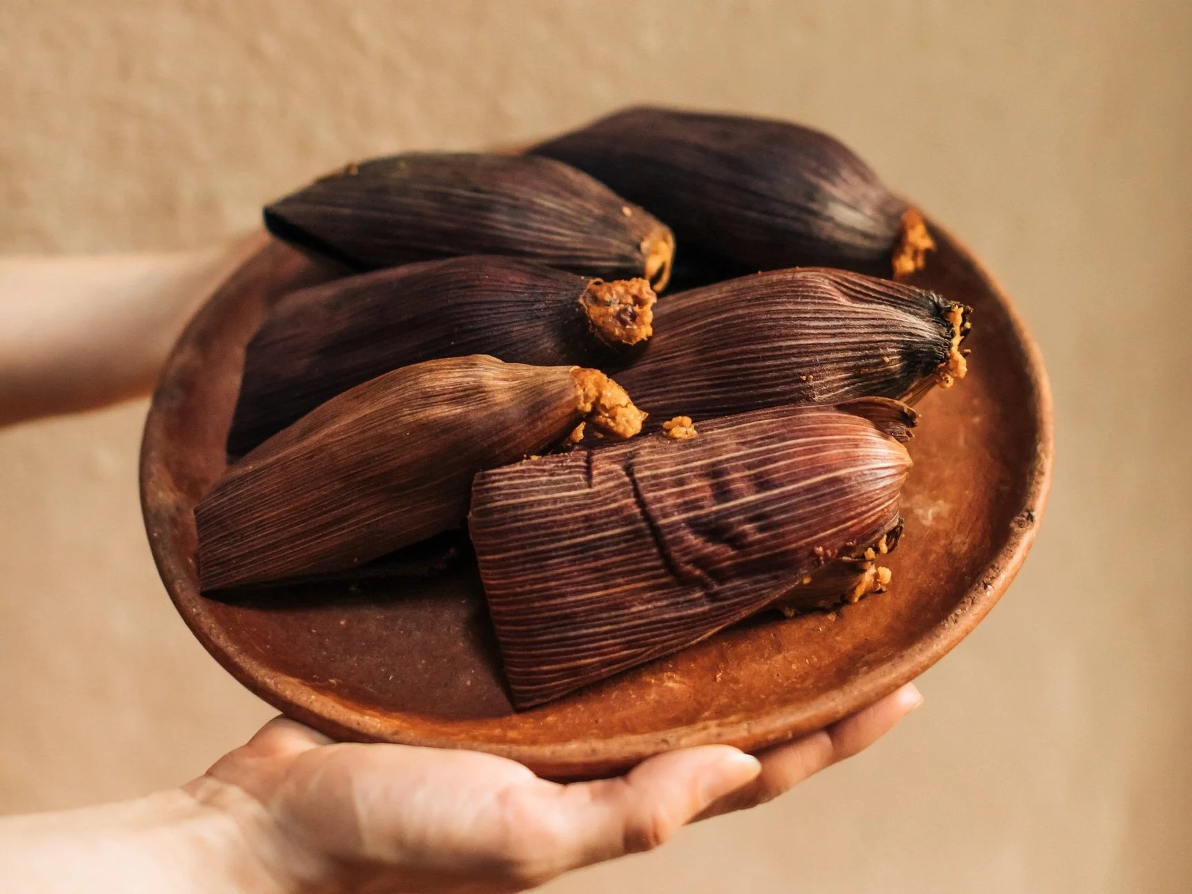 Oaxaca Group Tours Wild Terrains