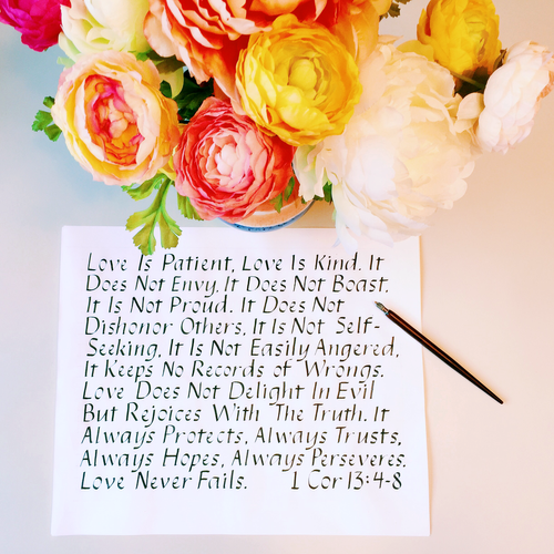 Calligraphy + Illustration — LE