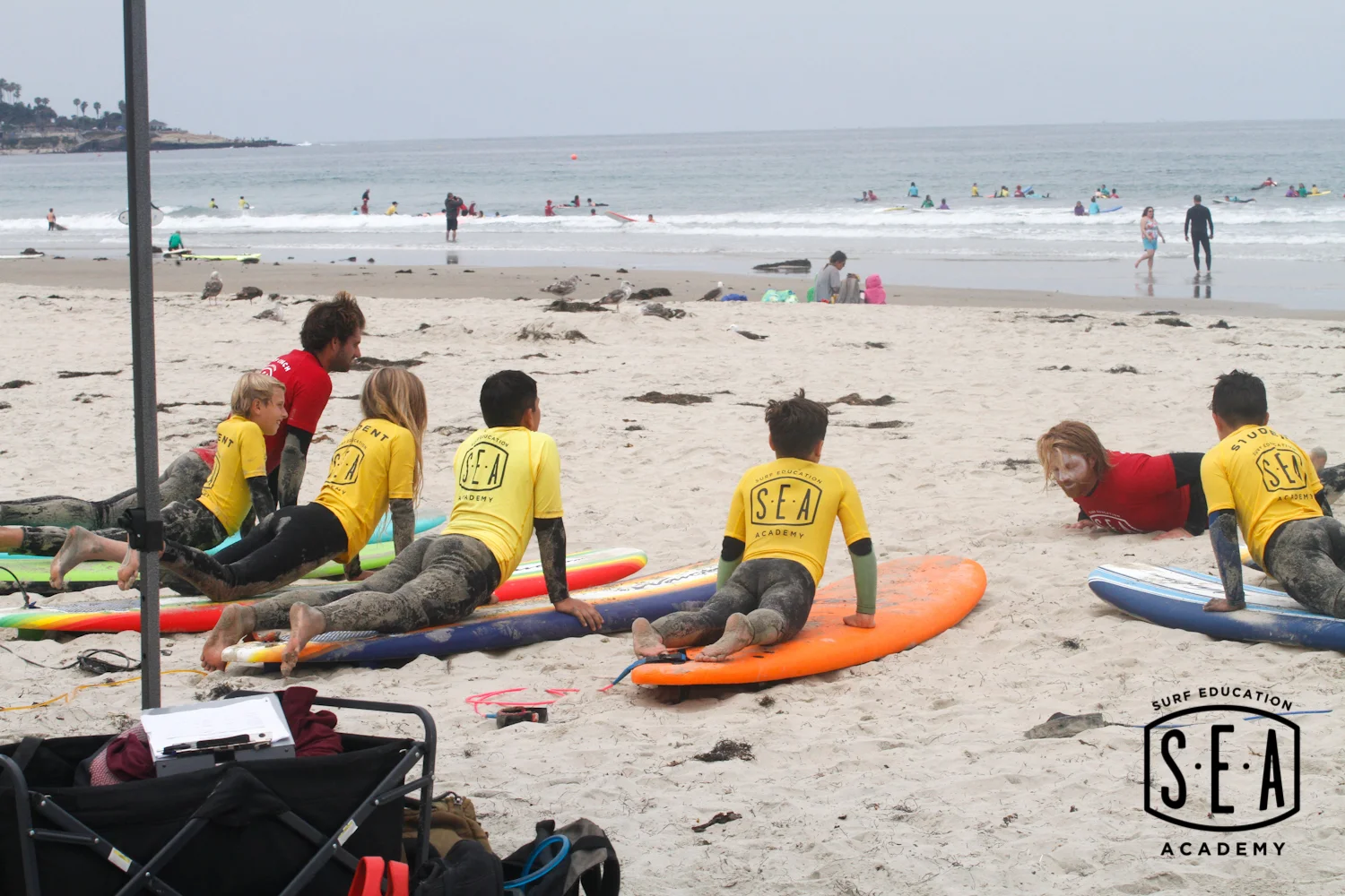 Surf Education Academy