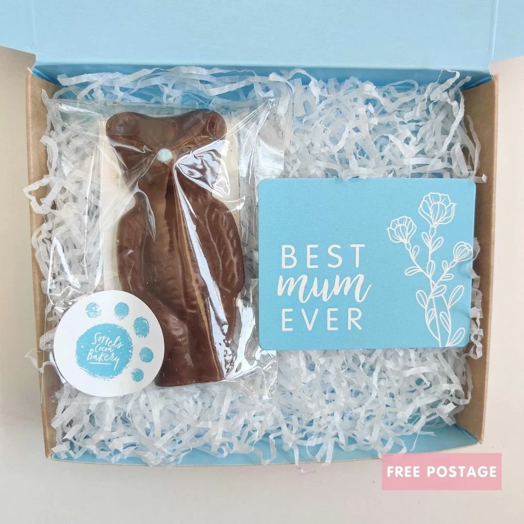 BearHugs Gifts | Send a 'Hug in a Box' Thinking of You Gift by Post