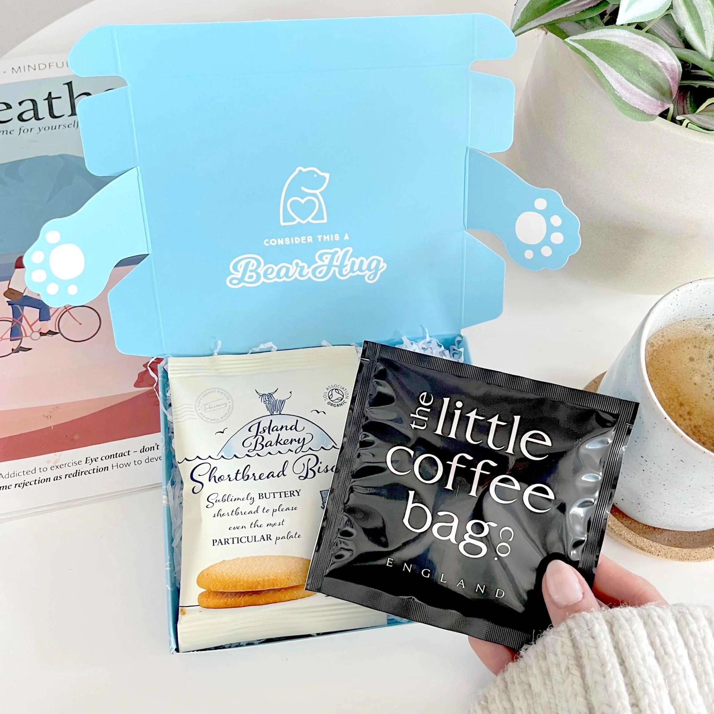 BearHugs Gifts | Send a 'Hug in a Box' Thinking of You Gift by Post