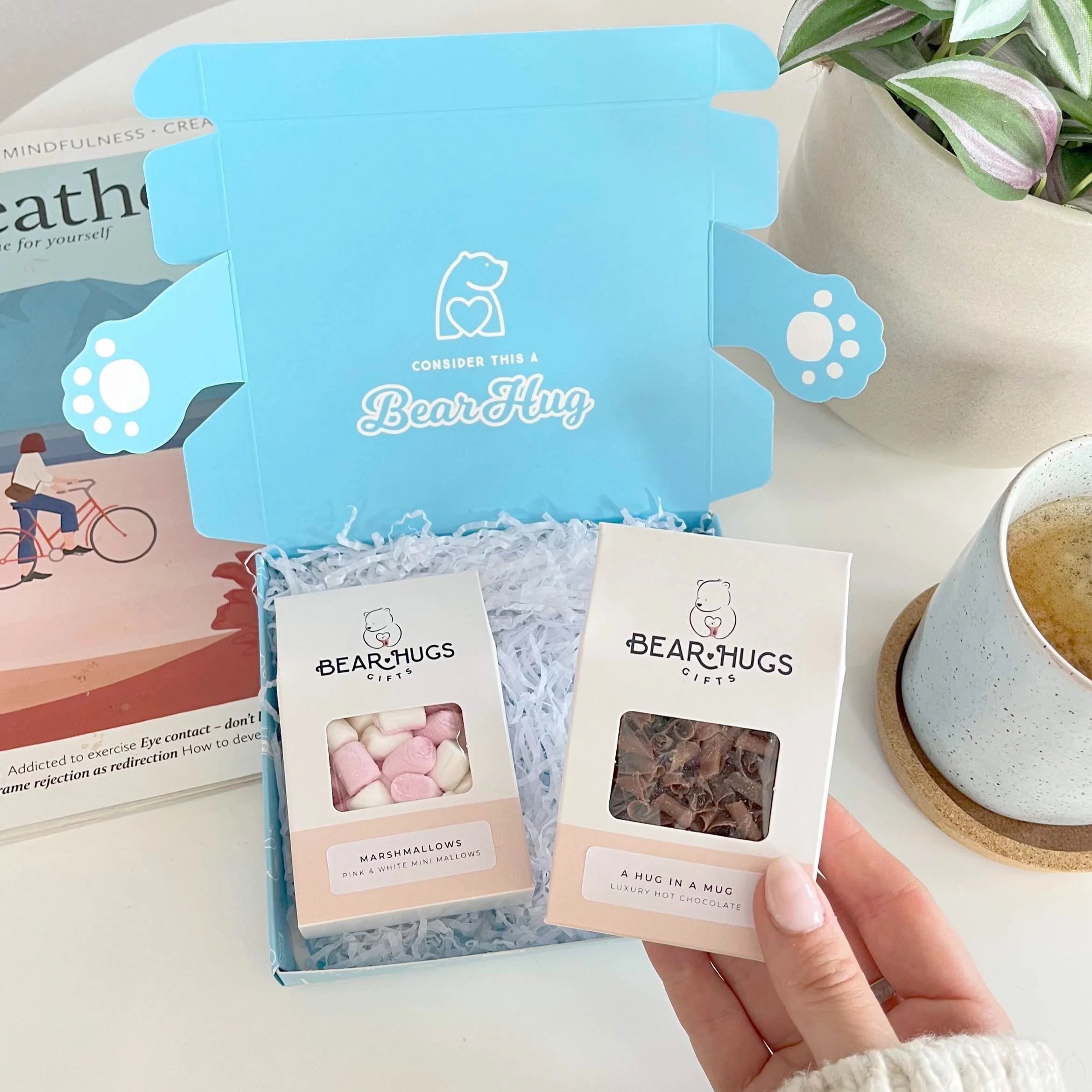 BearHugs Gifts | Send a 'Hug in a Box' Thinking of You Gift by Post