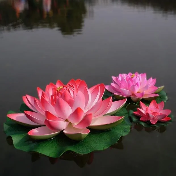 Float Spa — Theta Wellness Center