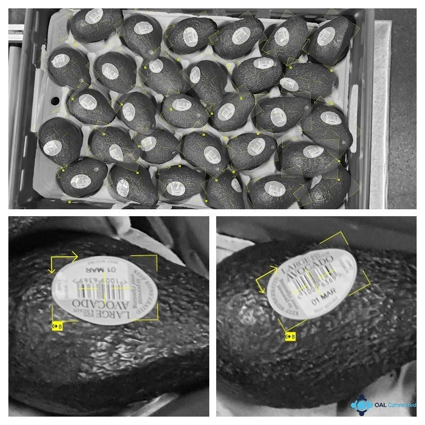 Paperless - Quality Checks — OAL | Automation & Robotics for Food ...