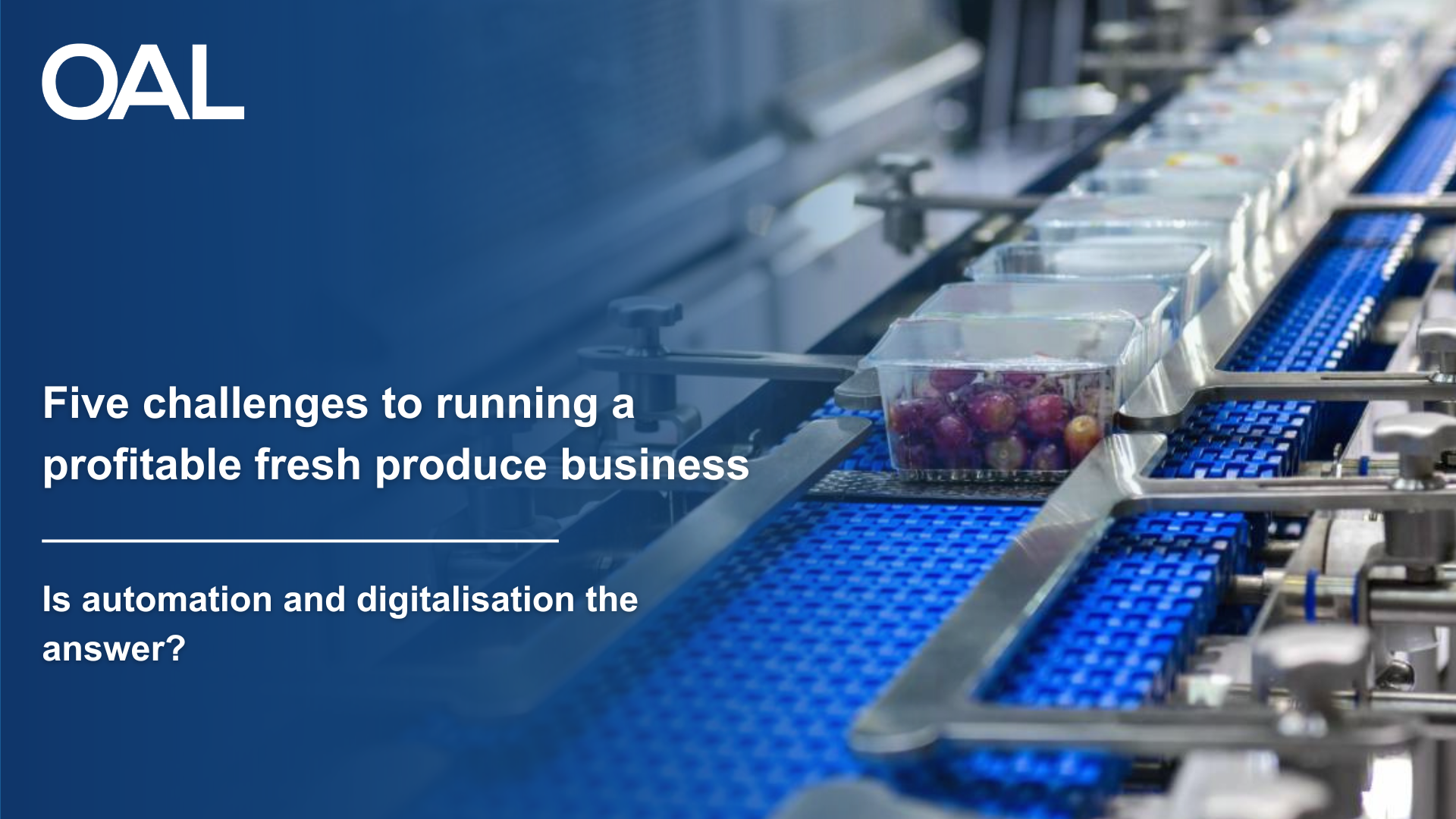 Five challenges to running a profitable fresh produce business...and ...