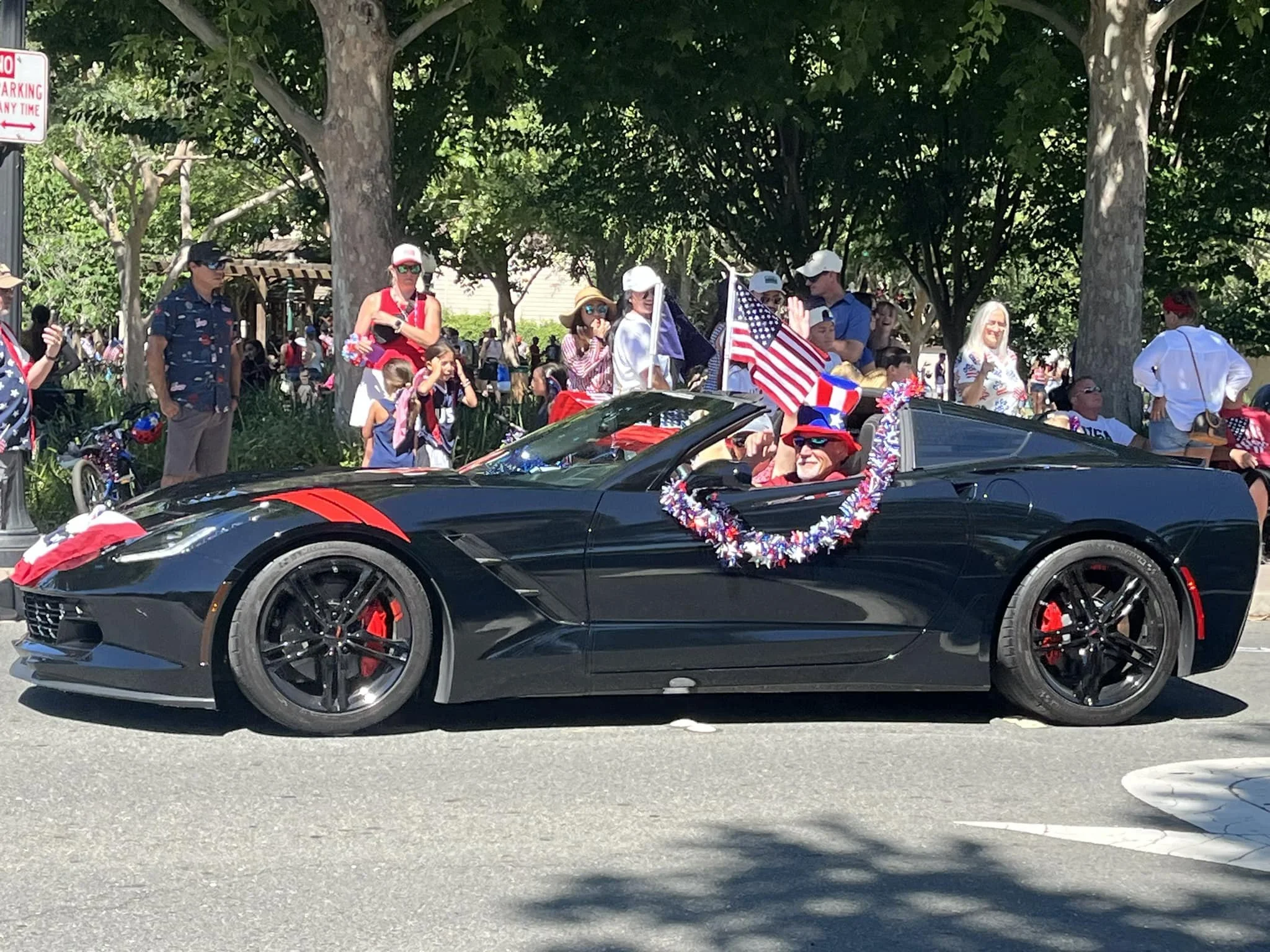 Diablo Valley Corvettes