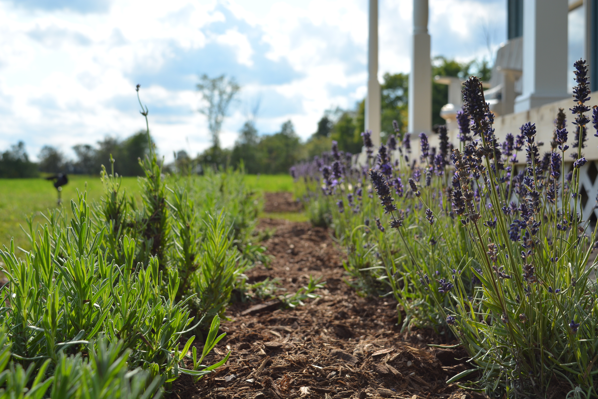 The Outside Element by Owen Reeves
