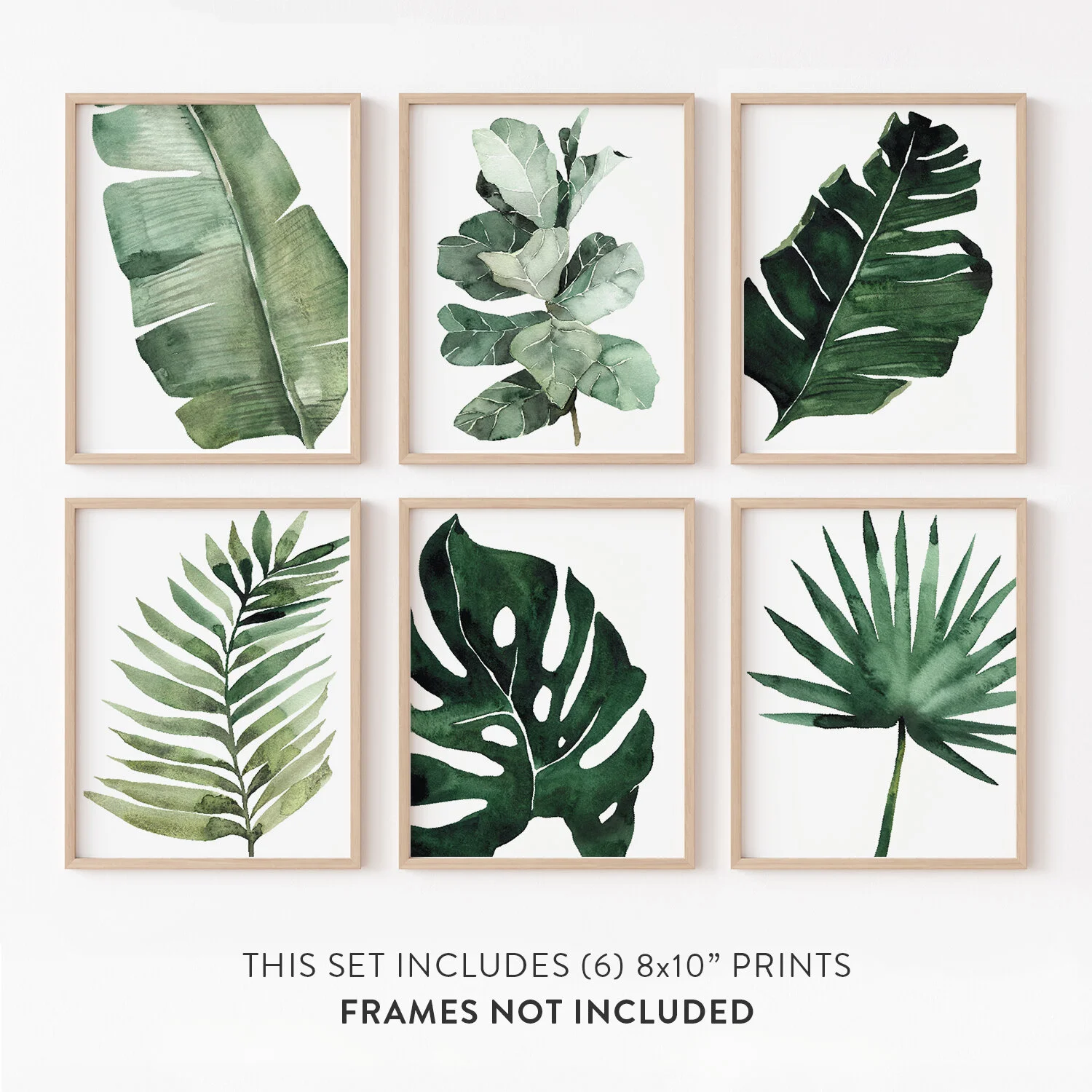 Large Tropical Leaves