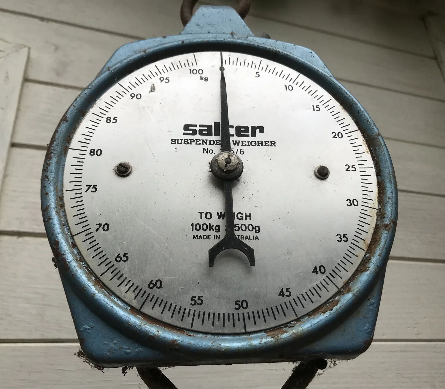 The Gentle Art of Hefting — Natural Beekeeping Tasmania