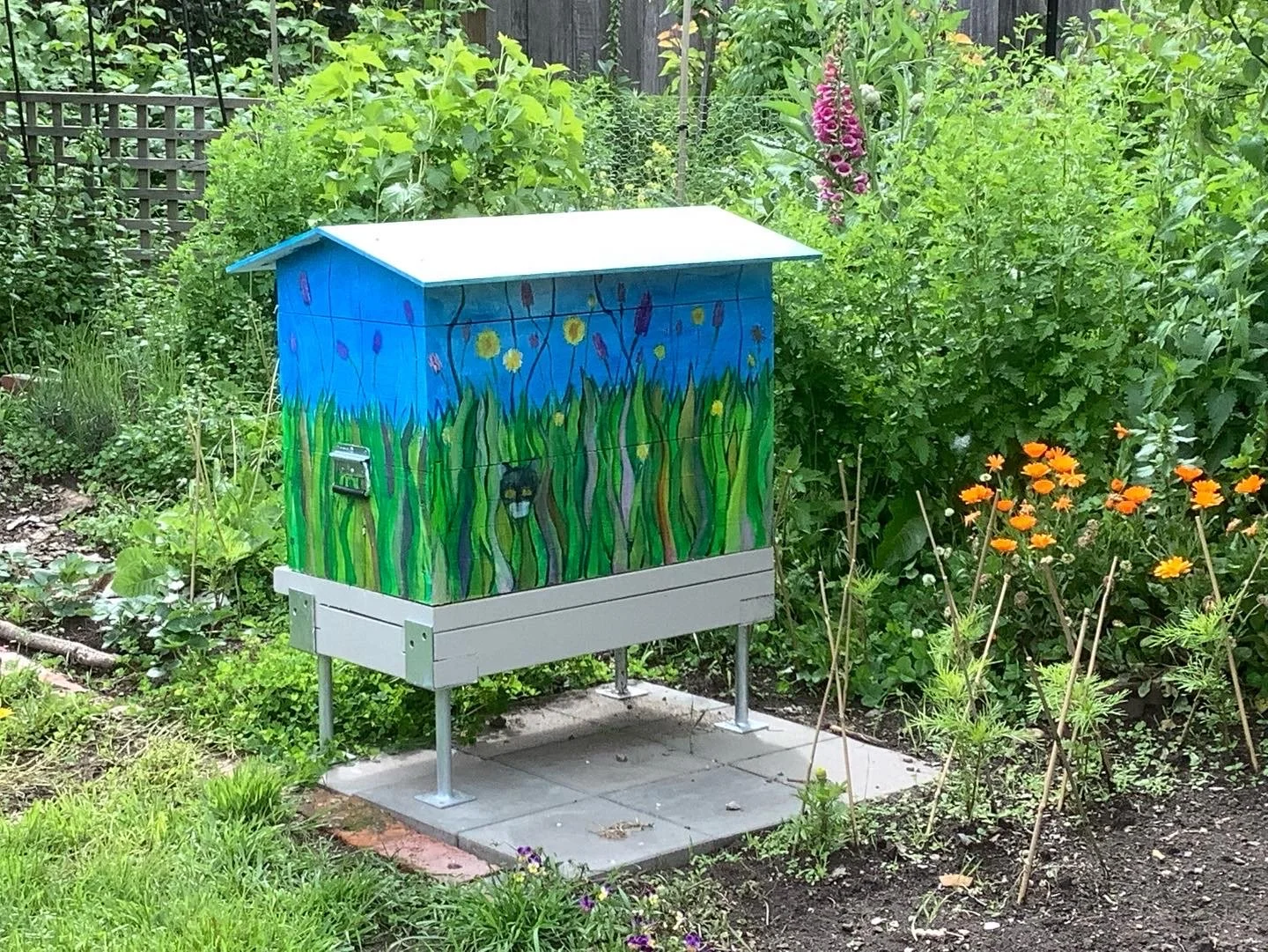 Layens — Natural Beekeeping Tasmania