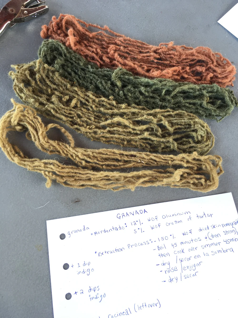 Natural Dye Workshop with Teñido a Mano — Distill Creative
