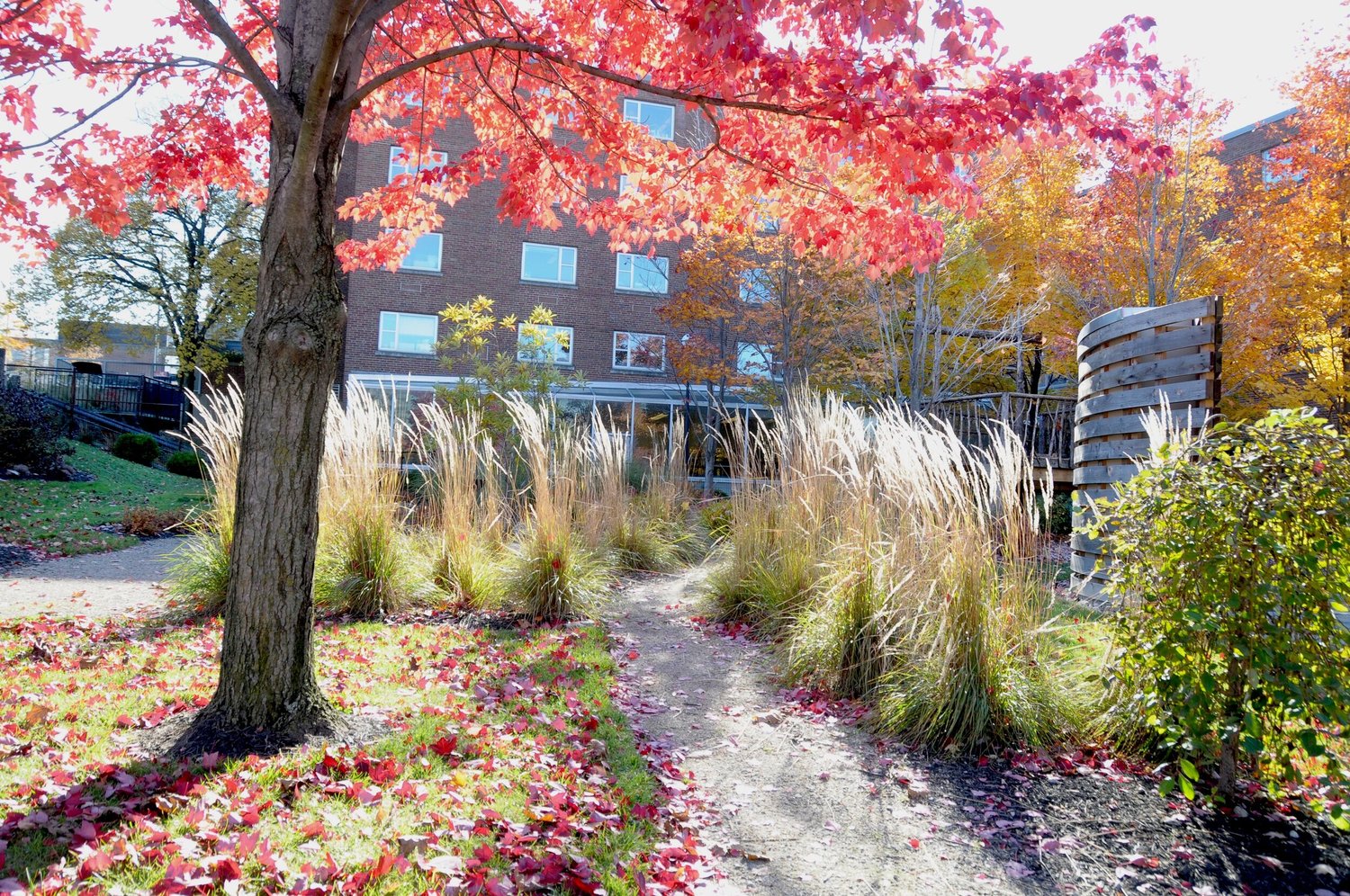 Rachel Robinson Design Landscape Architecture LLC Landscape Architecture