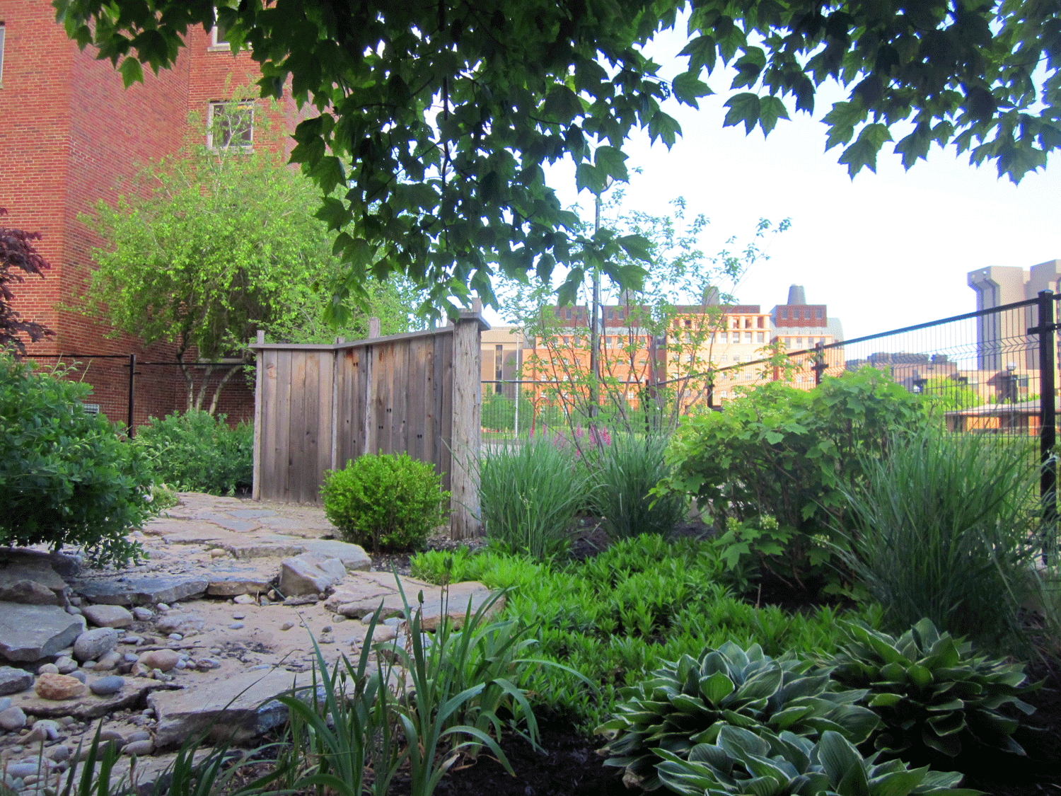 Rachel Robinson Design Landscape Architecture LLC Landscape Architecture