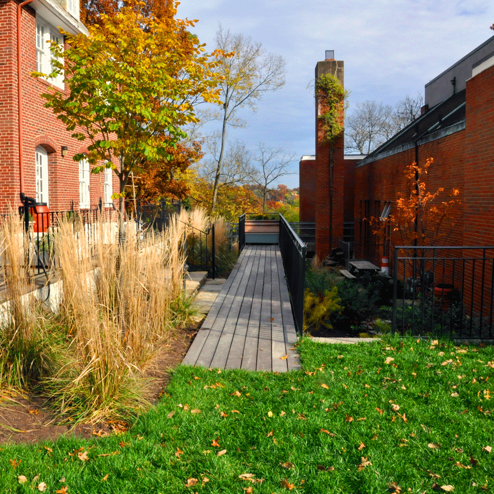Rachel Robinson Design Landscape Architecture LLC Landscape Architecture