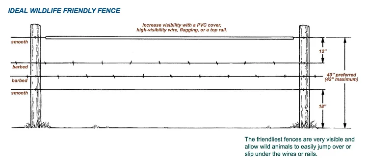 One Fence, No Fence, Wildlife Friendly Fence