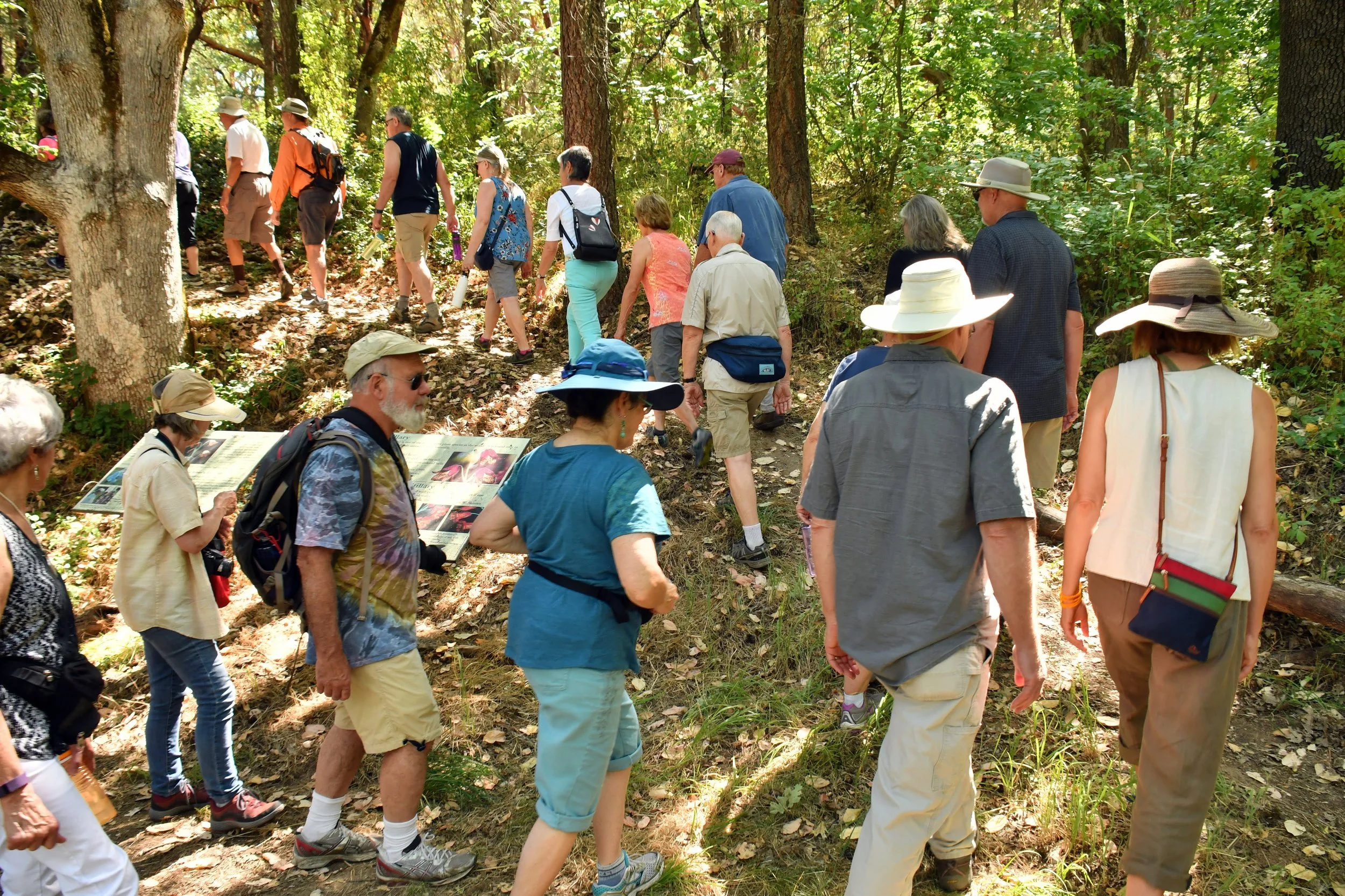 New SOLC Members Get Acquainted at Hike & Brunch