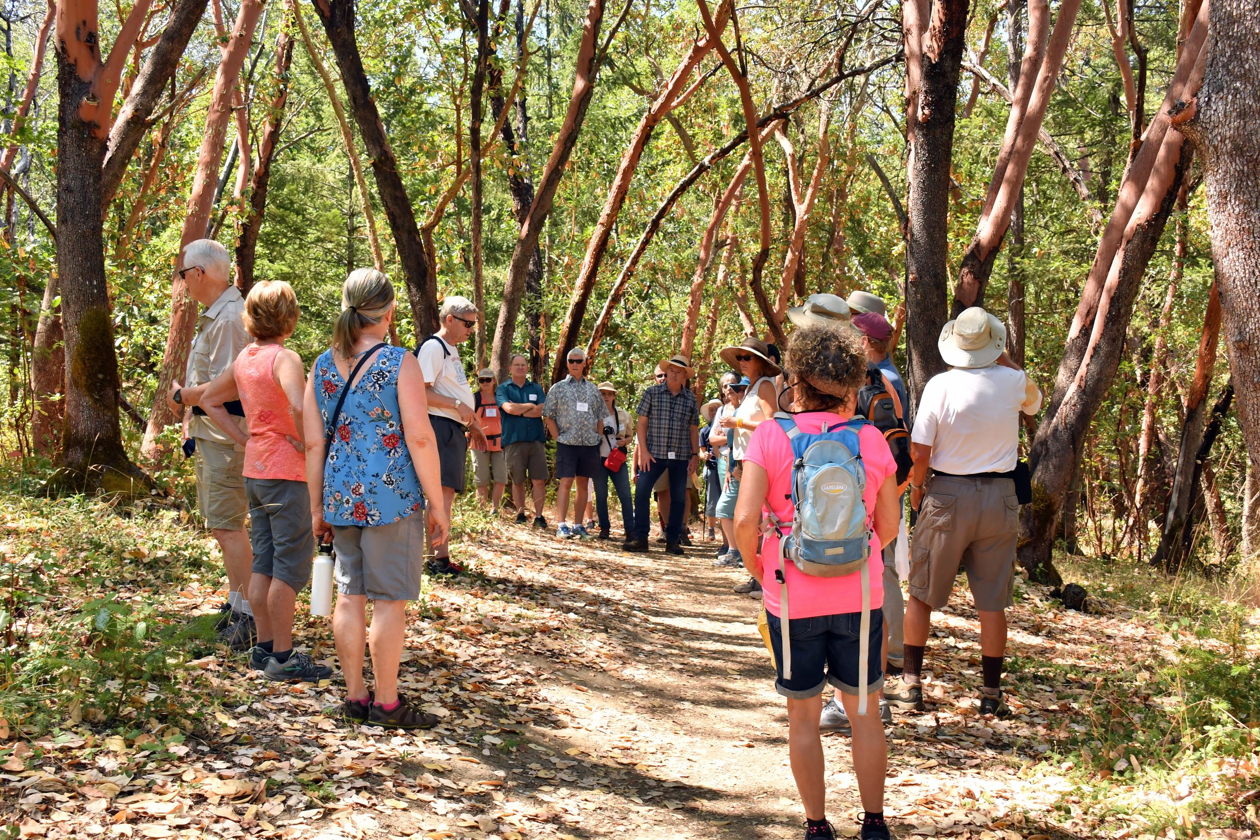 New SOLC Members Get Acquainted at Hike & Brunch
