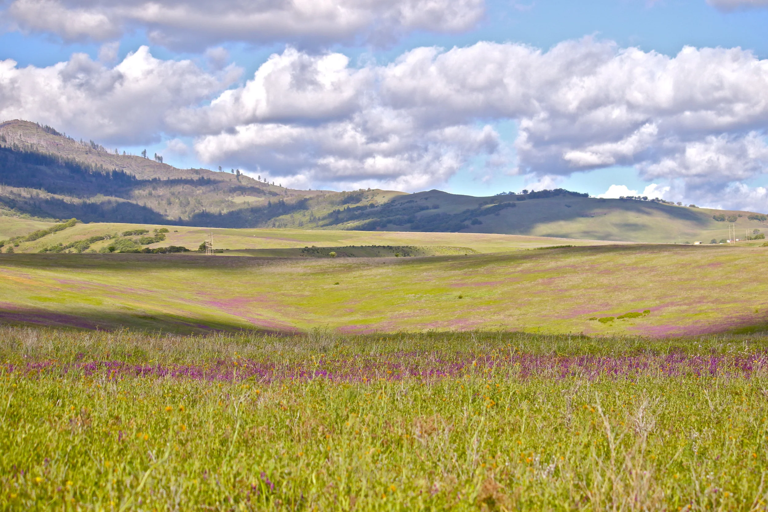 Geology of the Cascade Foothills