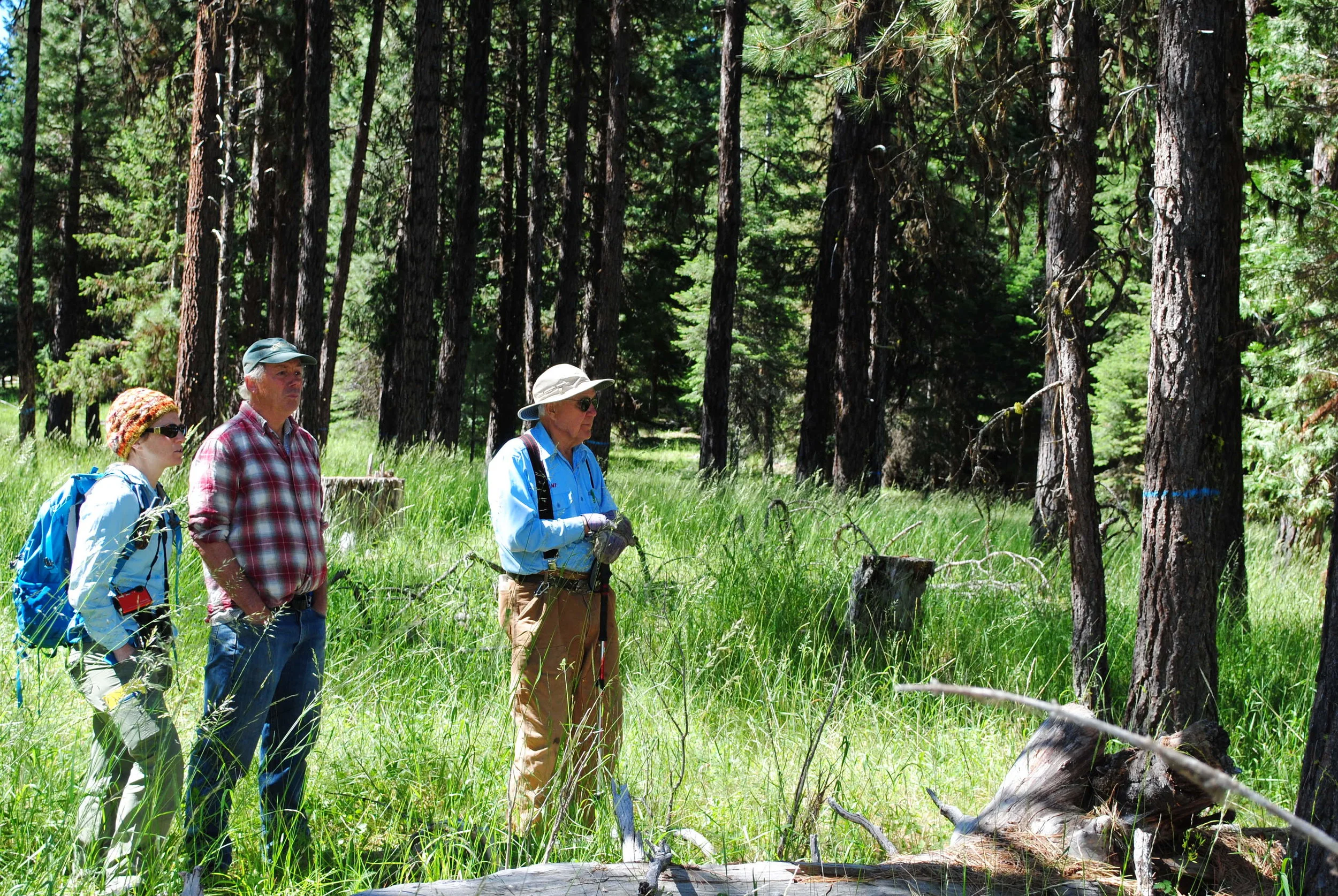 Howard Prairie–Working Forest
