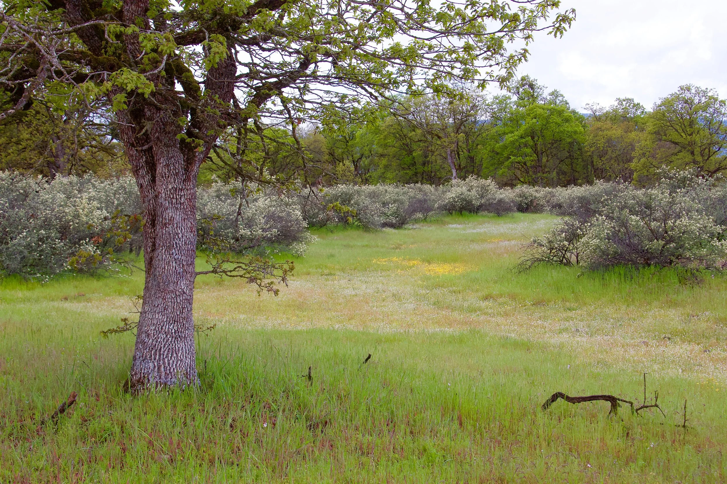 Wonder and Wander at Whetstone