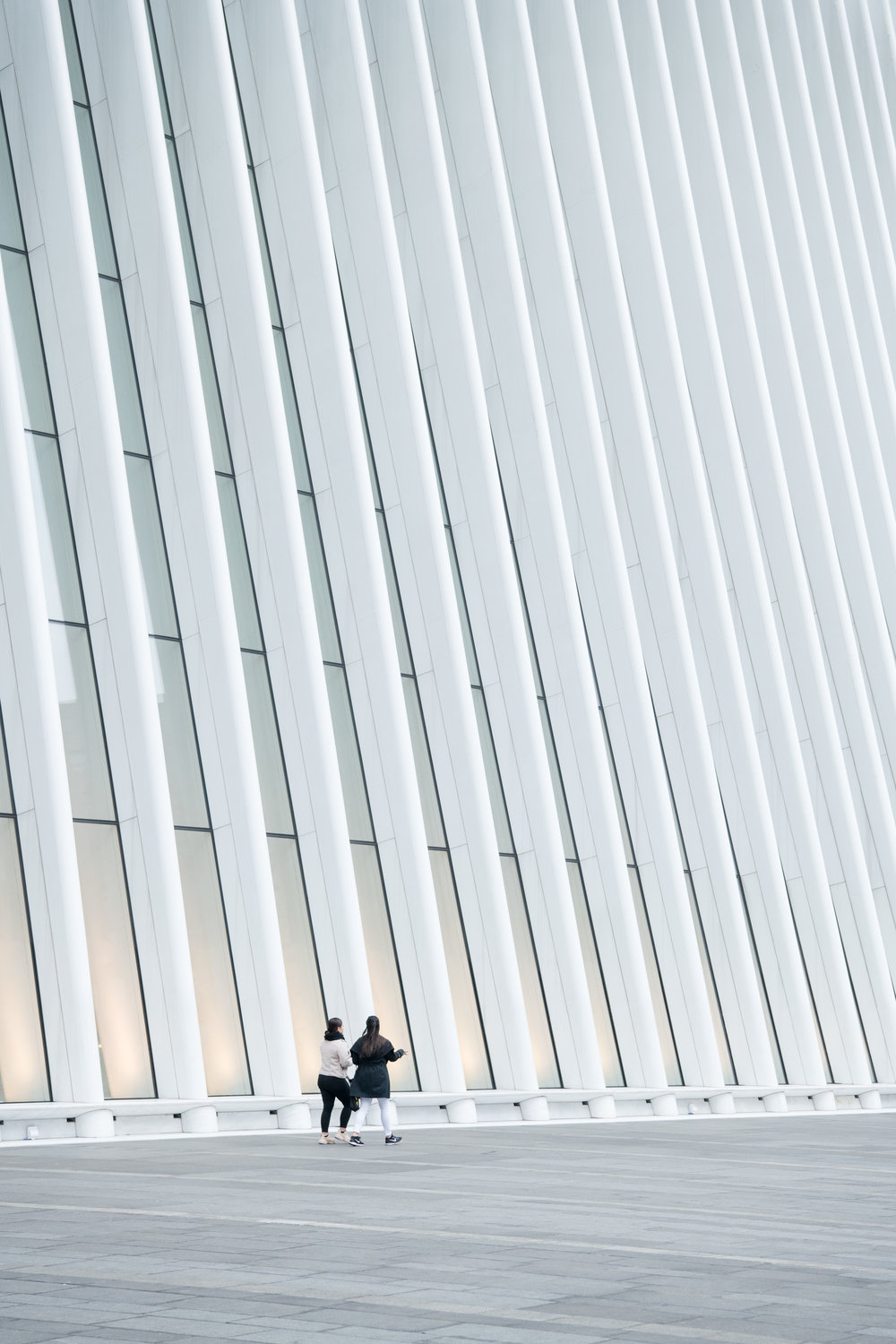 Shawn Koh 空间 | Spaces — Feng Studios | Beijing | China | Commercial ...