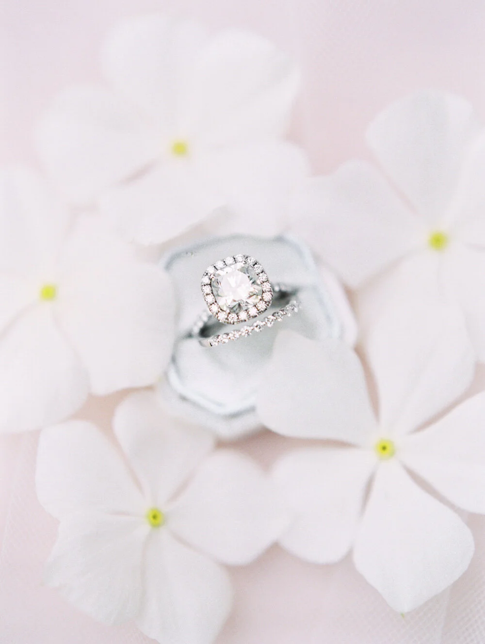 About The Ginger Lab | Expert Photo Editing with a Personal Touch – The ...