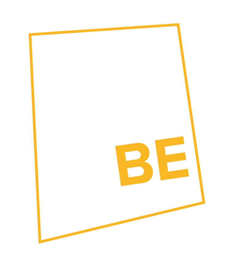 BACeye/SC - MBS GmbH