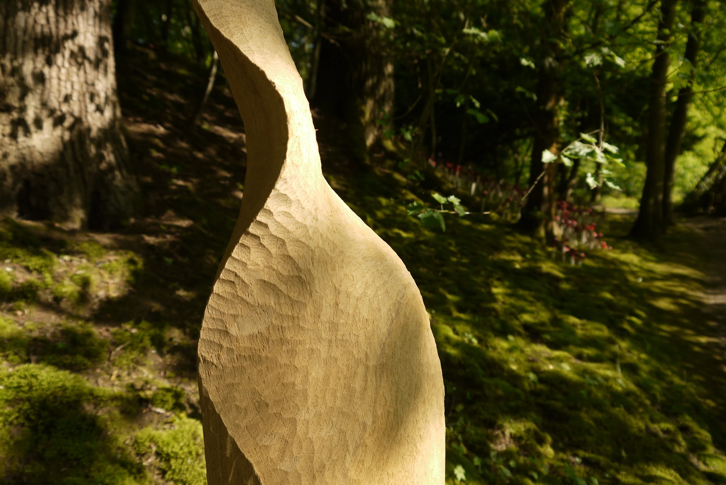 Malcolm Martin & Gaynor Dowling — The Hannah Peschar Sculpture Garden