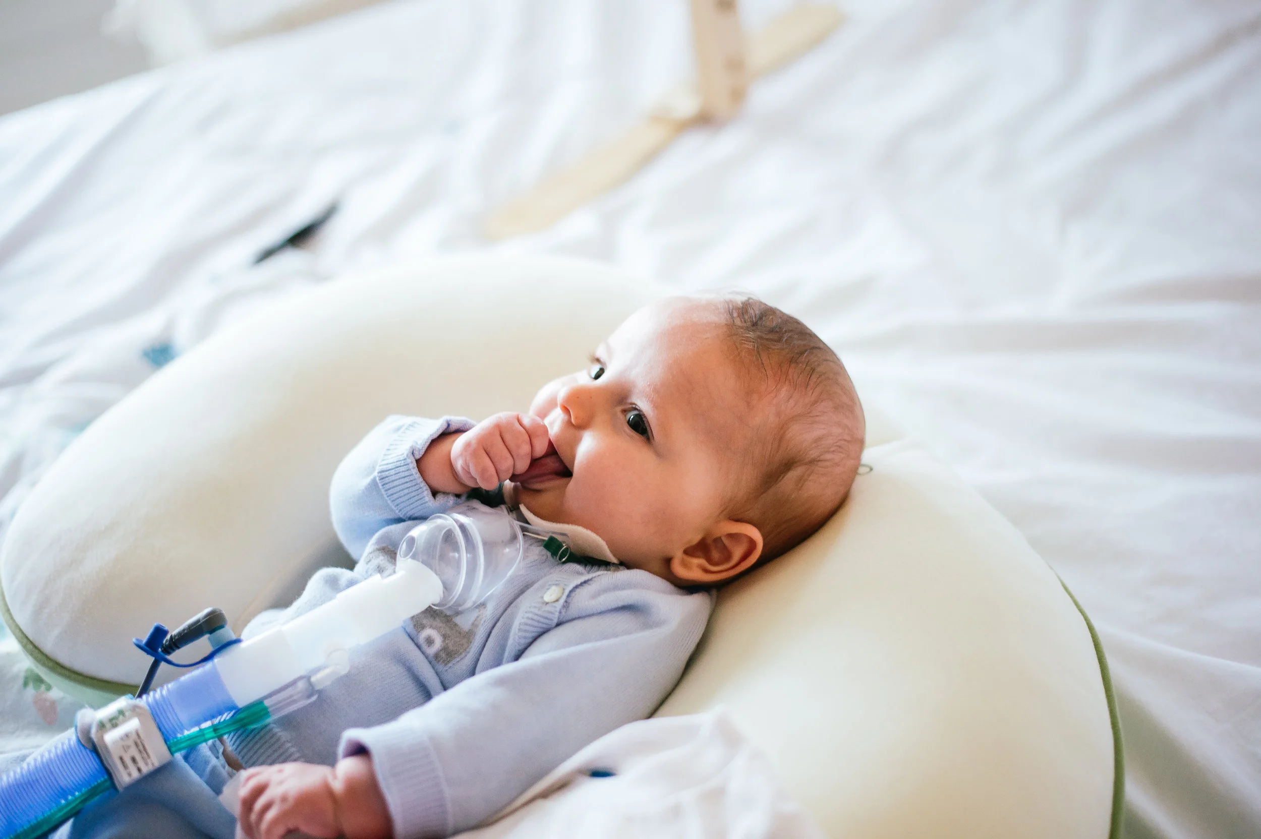 The Buhrman Family {Baby Theo} South Bend, Indiana — Hey Sisters ...