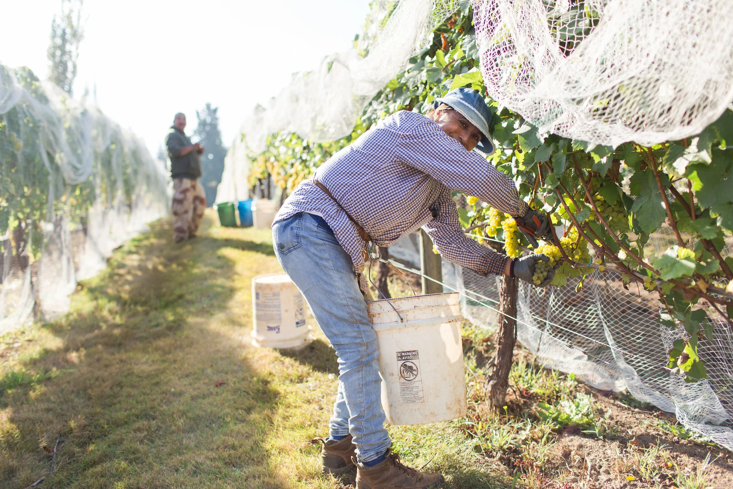 About Us — twill cellars