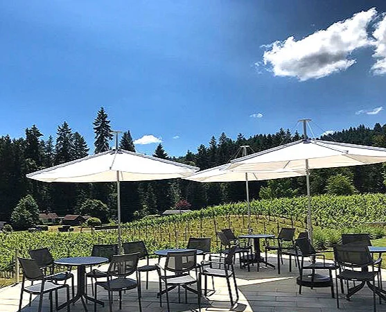 Visit — twill cellars