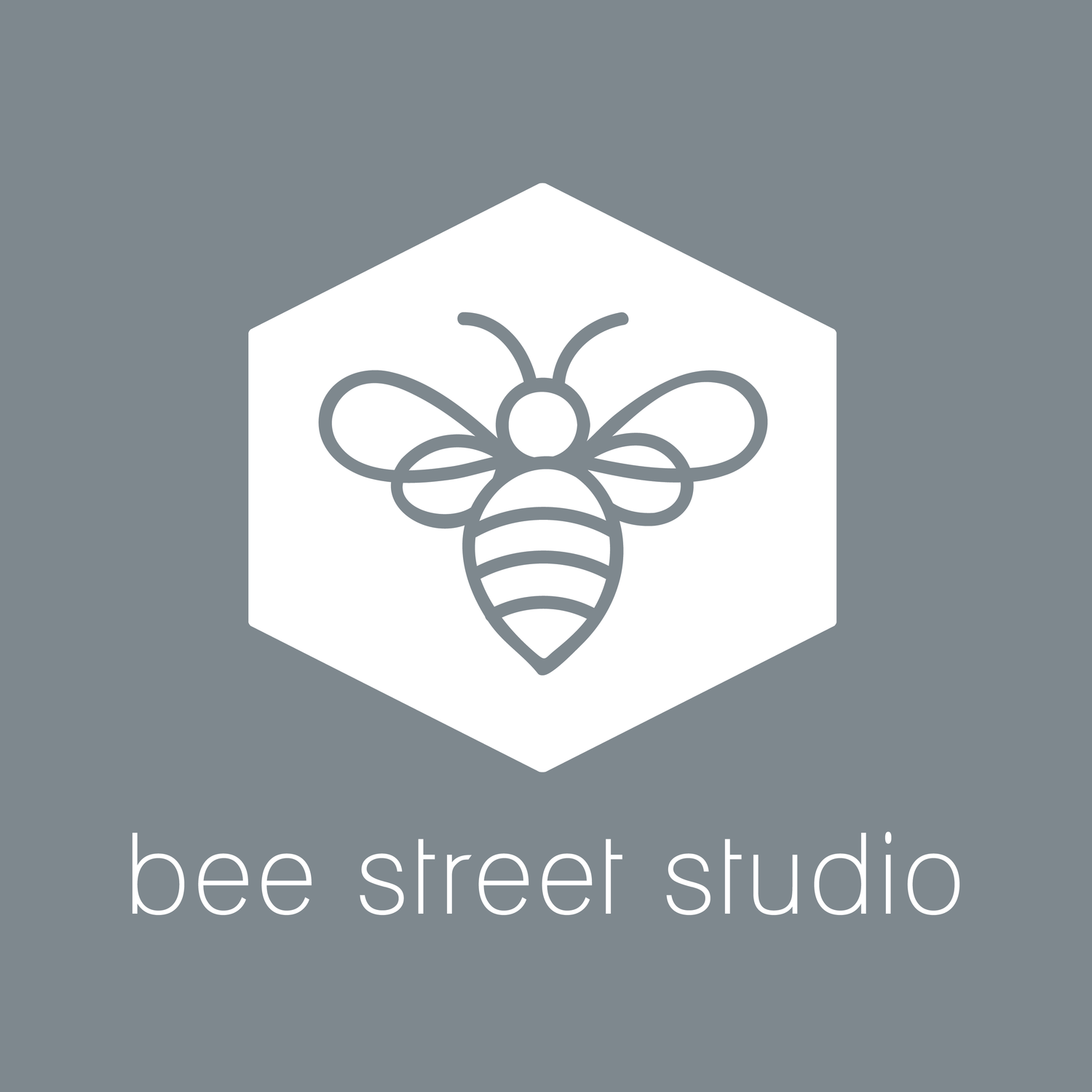 Bee Street Studio — Hadley Binion Designs