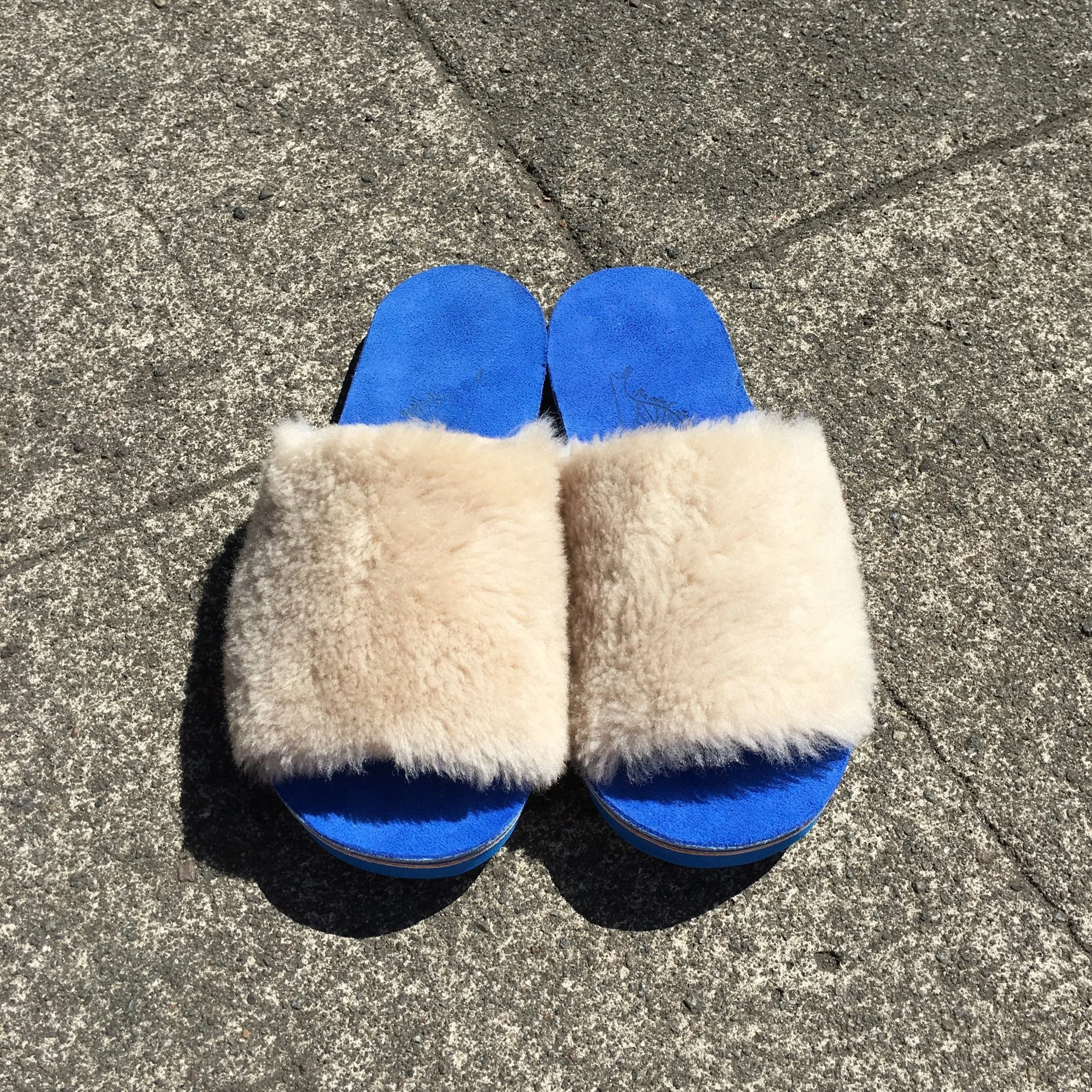 Rachel Sees Snail Shoes