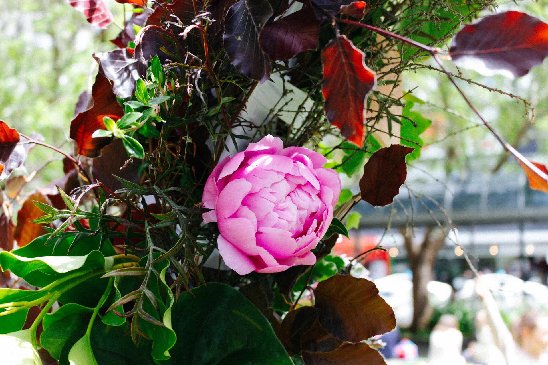 Merriwick Flower - Home Alqu