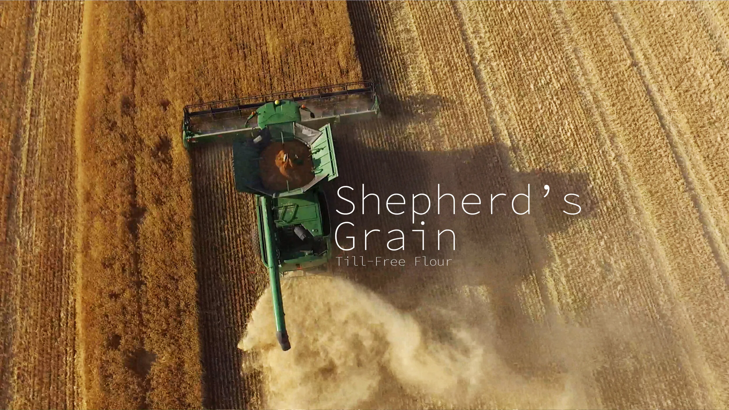 Shepherd's Grain — SMALL MEDIA LARGE